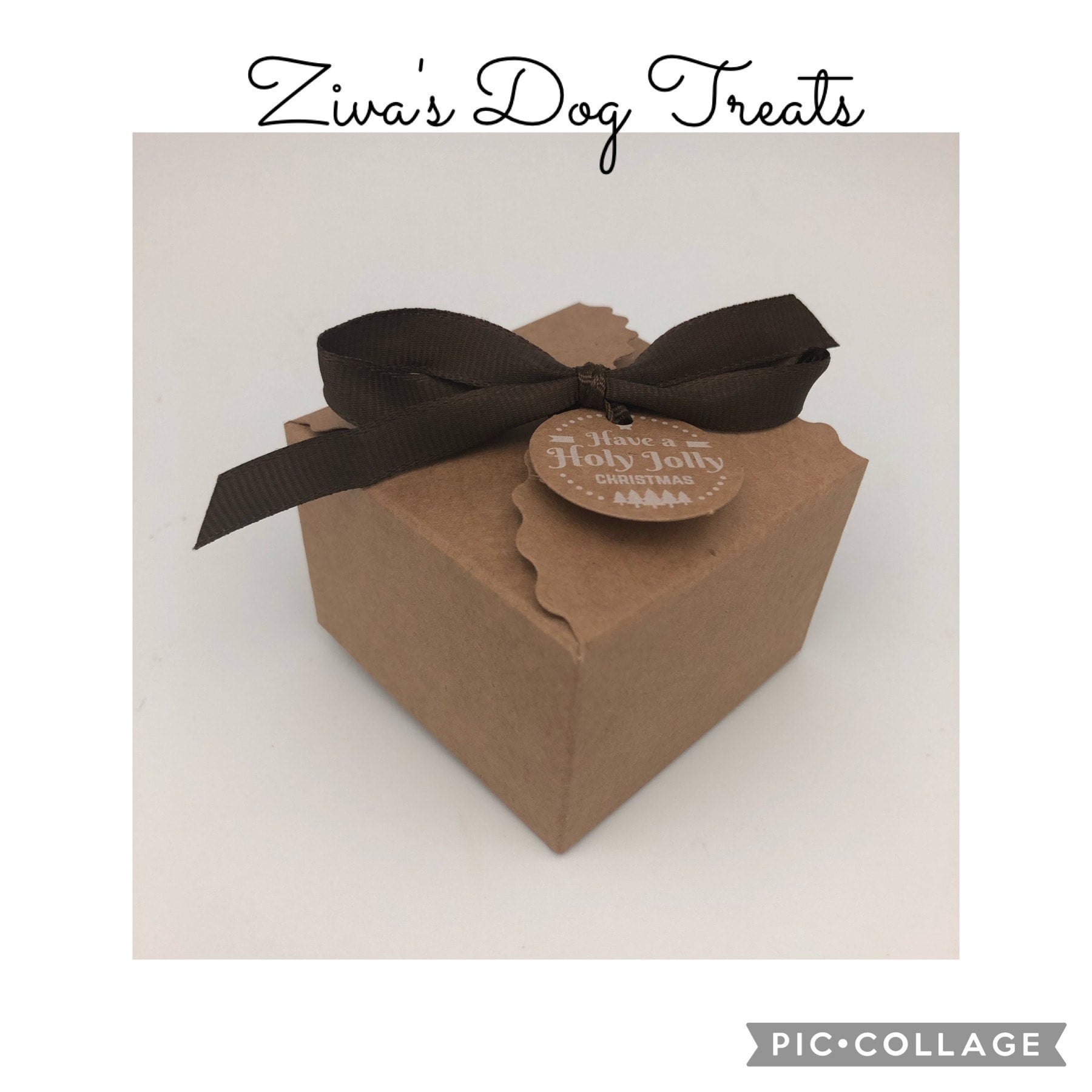 Little Christmas Gift Box | Ziva's Dog Treats